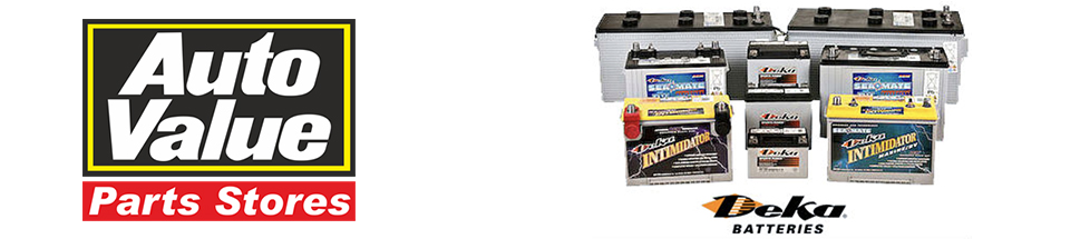 Emergency Light Batteries – Auto Value Parts Store